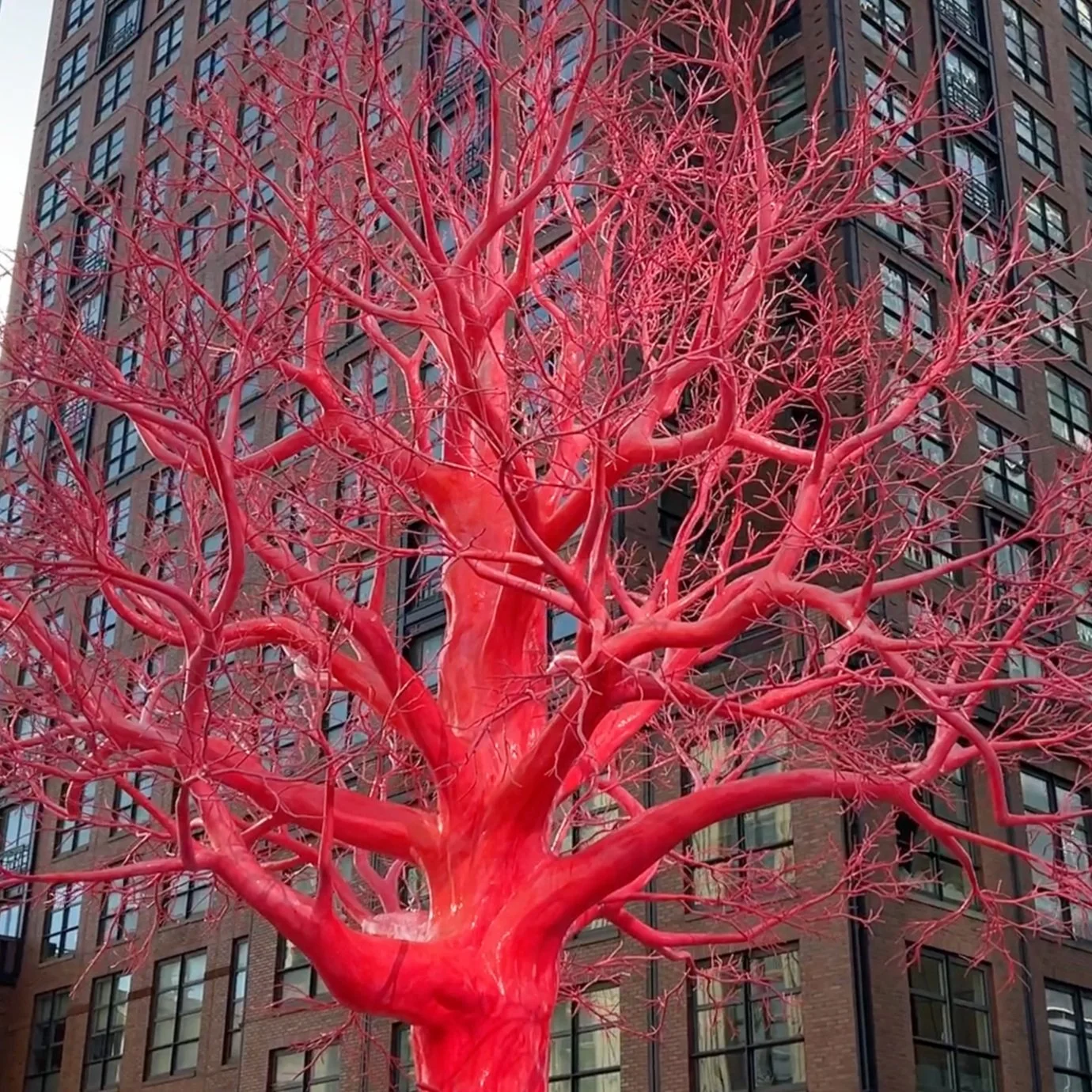 Arista 100 // Bronica SQAI // Red Filter — Joshua Timpko